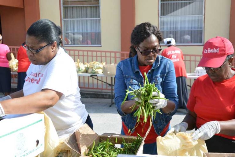 Food Distribution – Community Health and Empowerment Network